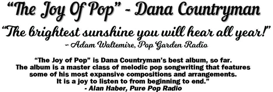 The Joy of Pop - Dana Countryman